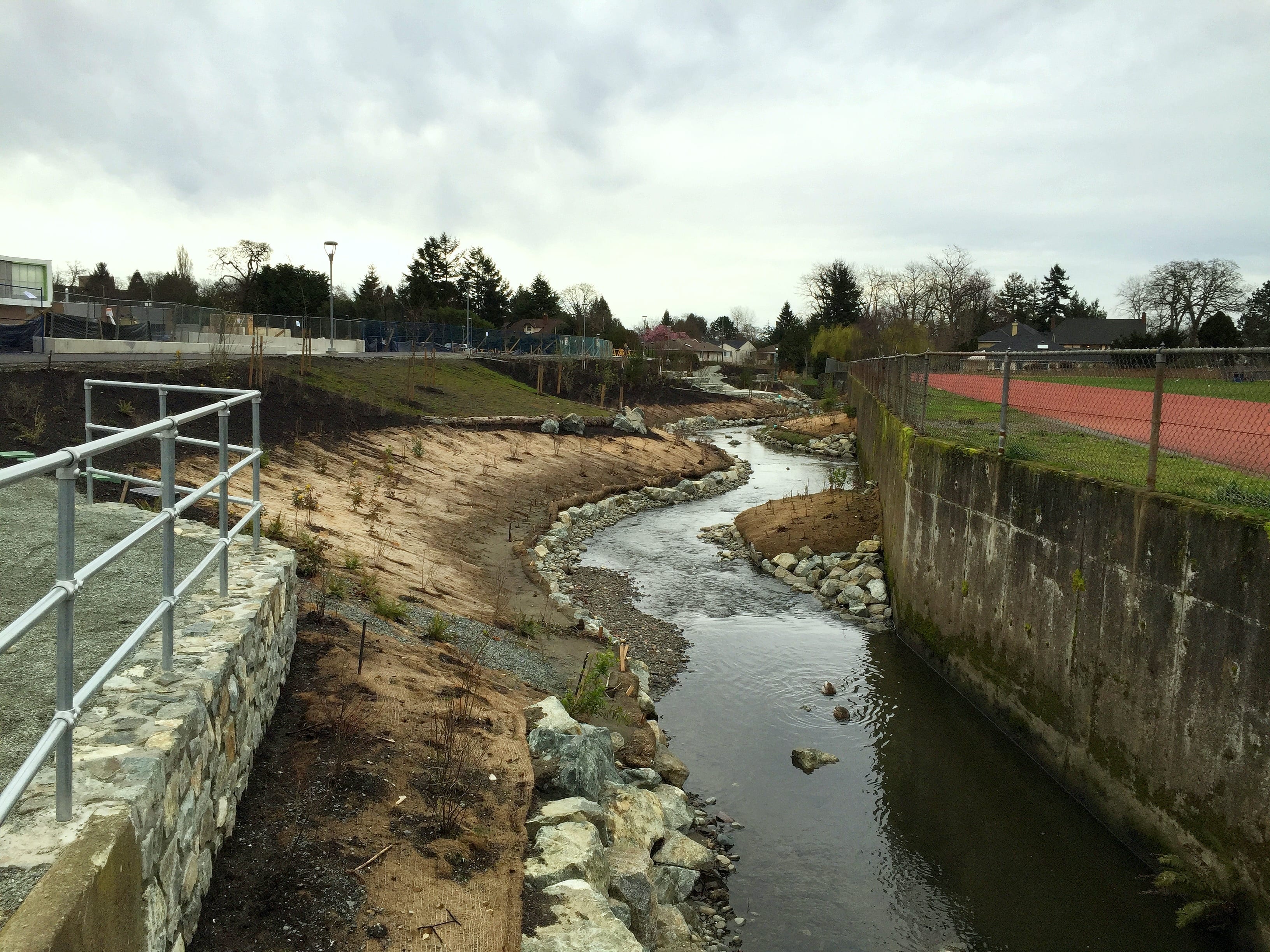 Bowker Creek restoration unveiled in Oak Bay