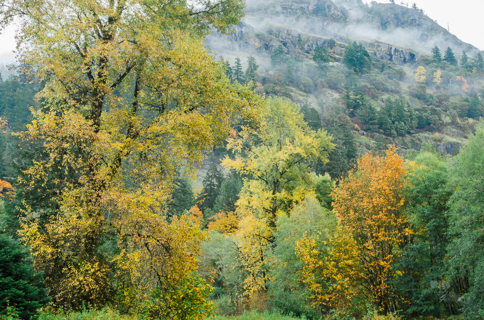 Here are 5 things to love about fall in Victoria