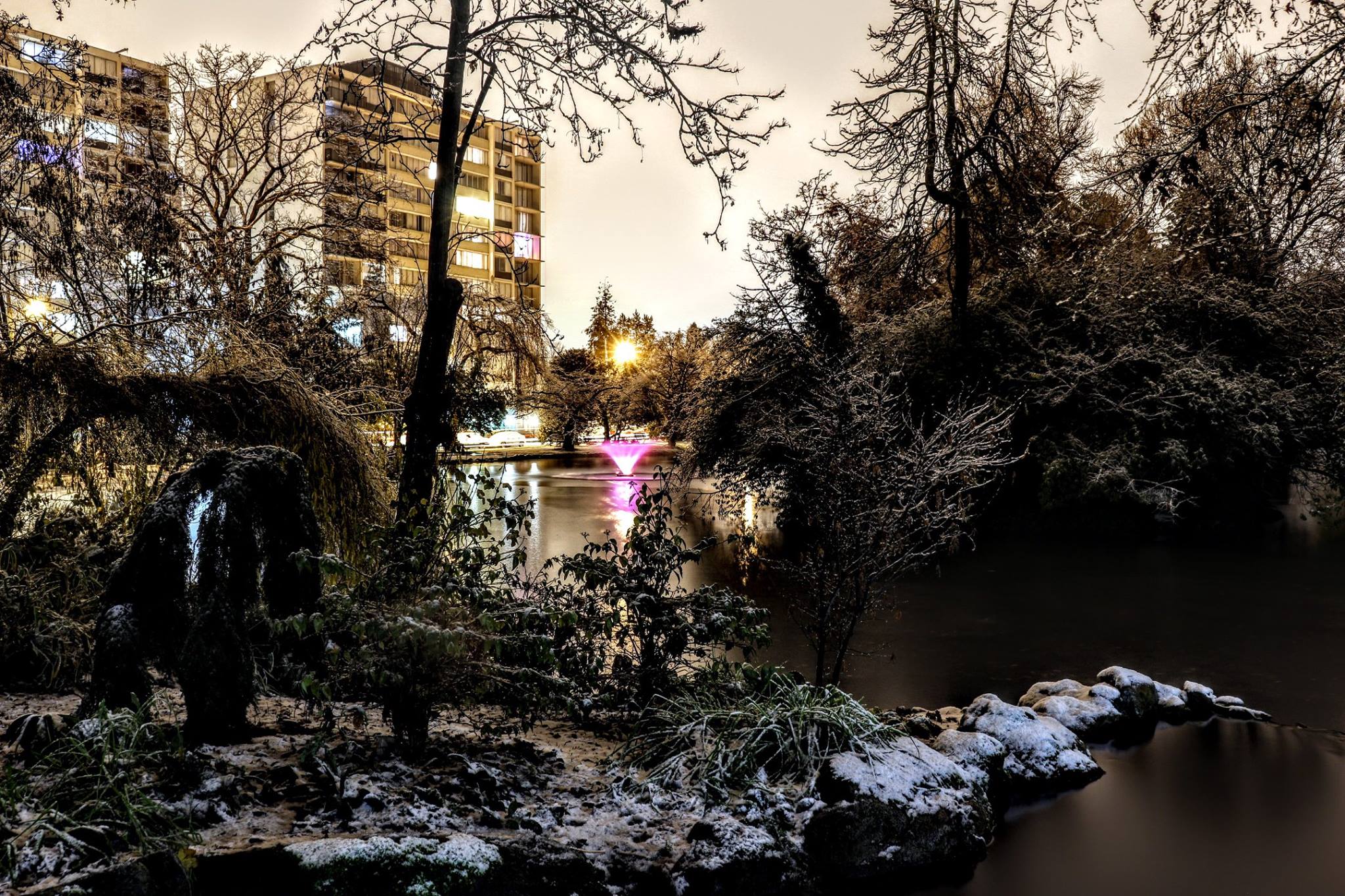 19 photos of the first snowfall of the season in Greater Victoria