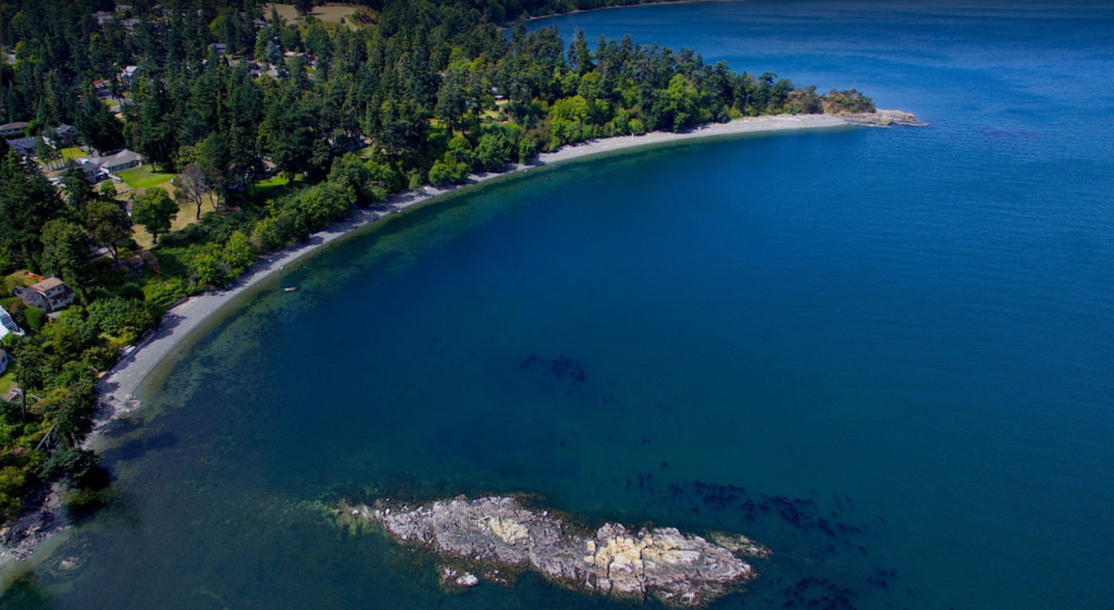 5 awesome beaches in Victoria you need to check out