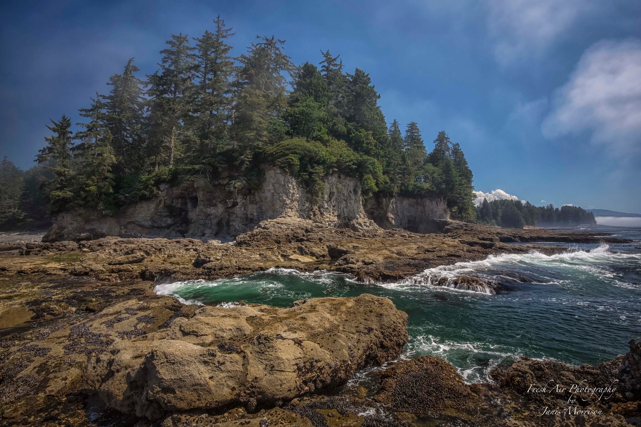Botany Bay over to Botanical Beach