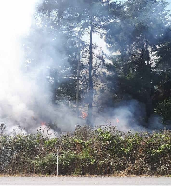Brush fire on Sooke Road is now contained after destroying small cabin