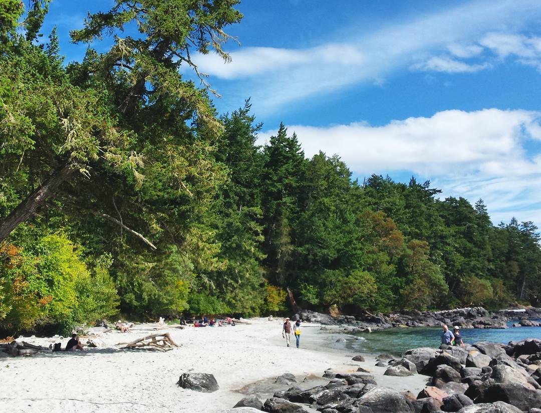 5 things to do in and around Victoria today, Wednesday June 20th