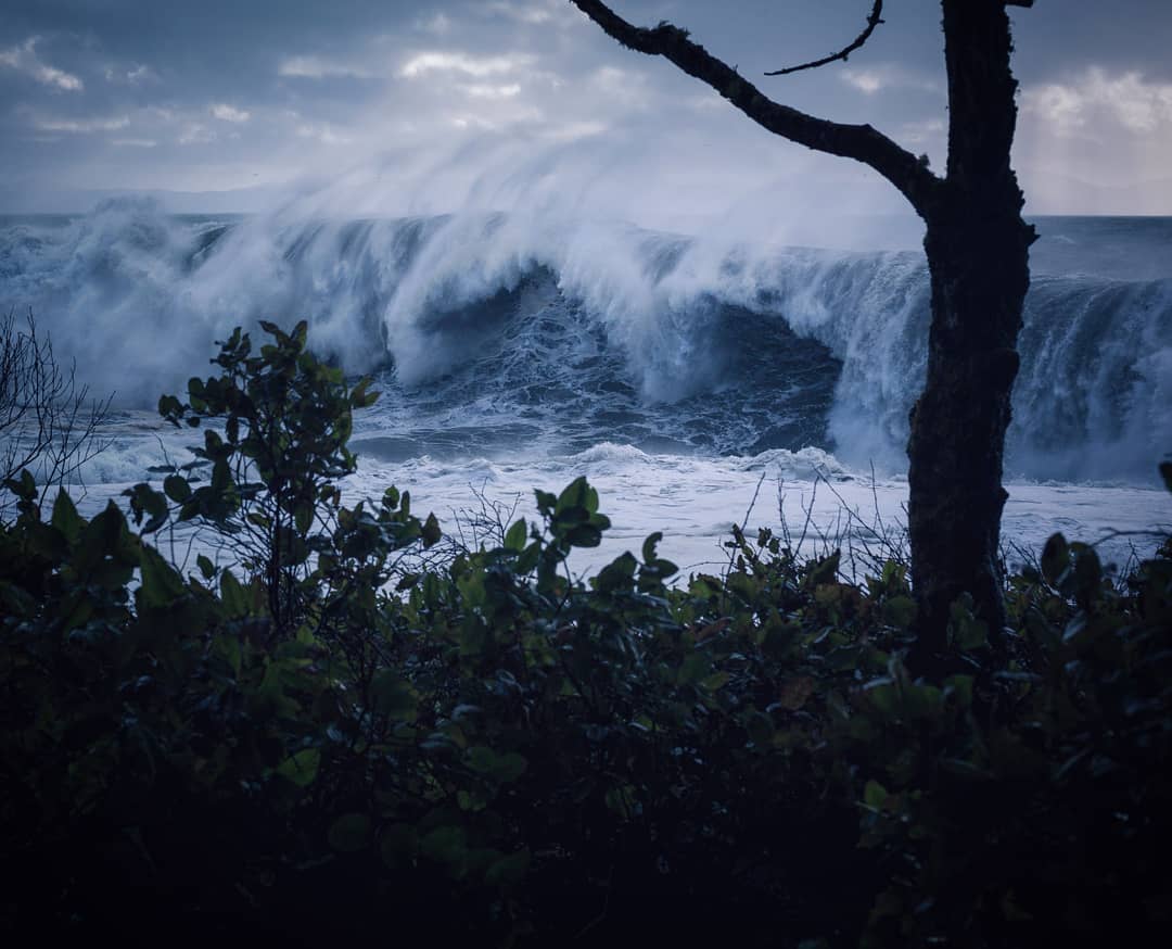 Record breaking four-storey rogue wave recorded off coast of Vancouver ...