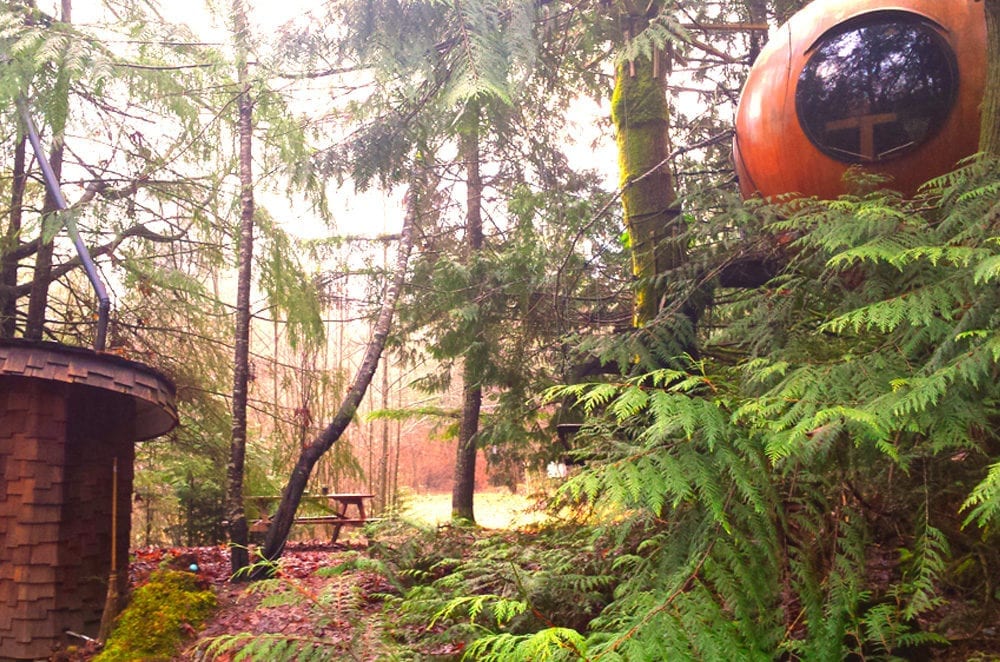 You can spend the night in these incredible Vancouver Island treehouses