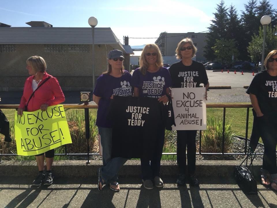 Trial for Duncan couple accused of shocking animal abuse delayed again ...