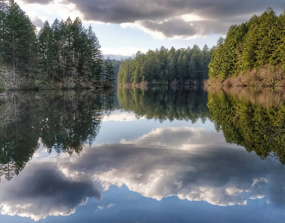 14 things to do in and around Victoria to celebrate Spring Break next week