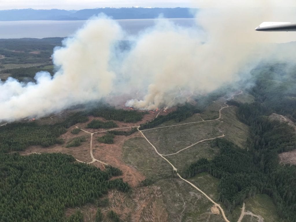 Tugwell Creek wildfire near Sooke now 80% contained, unlikely to spread