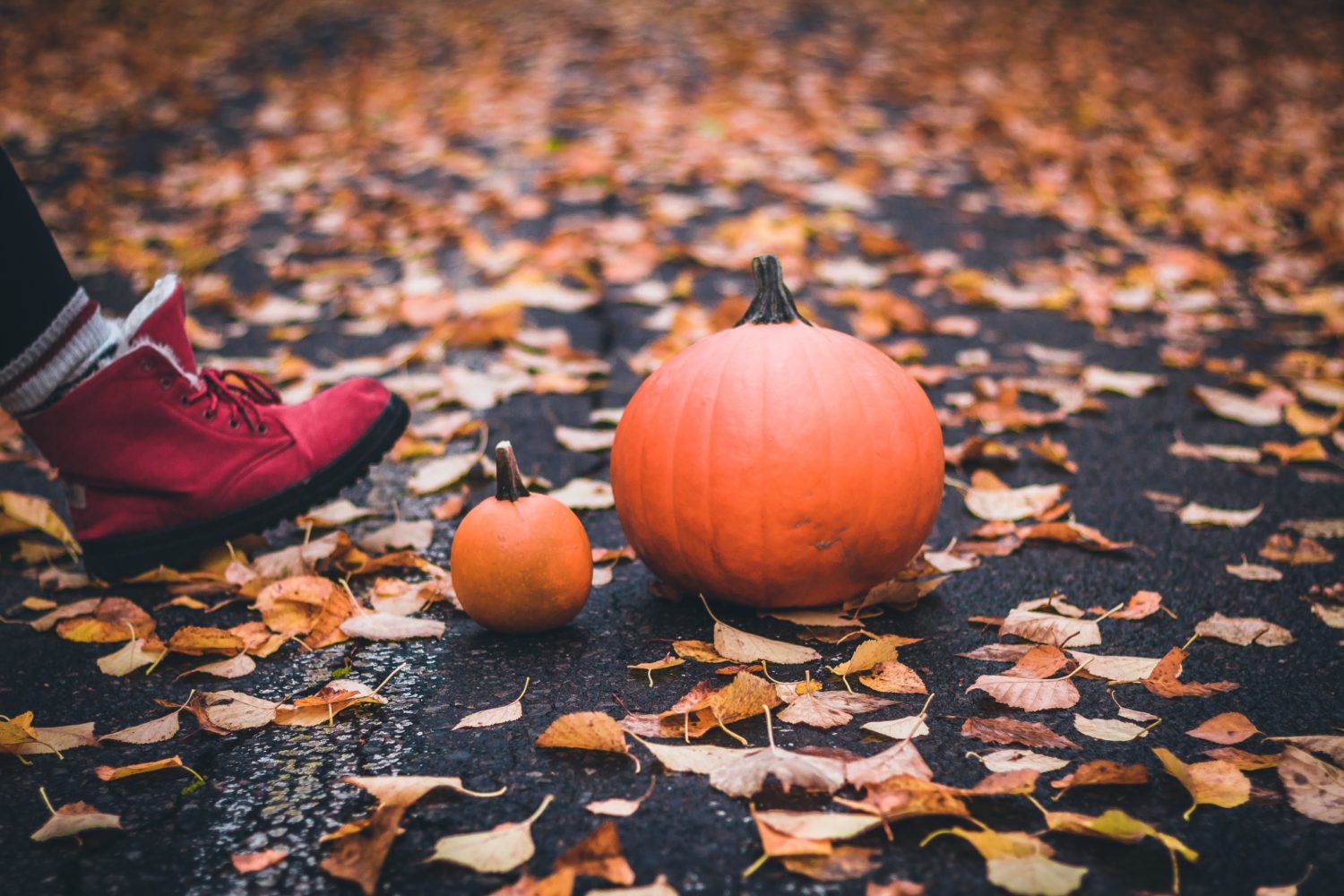 Here are 4 places in Greater Victoria to SMASH your pumpkin