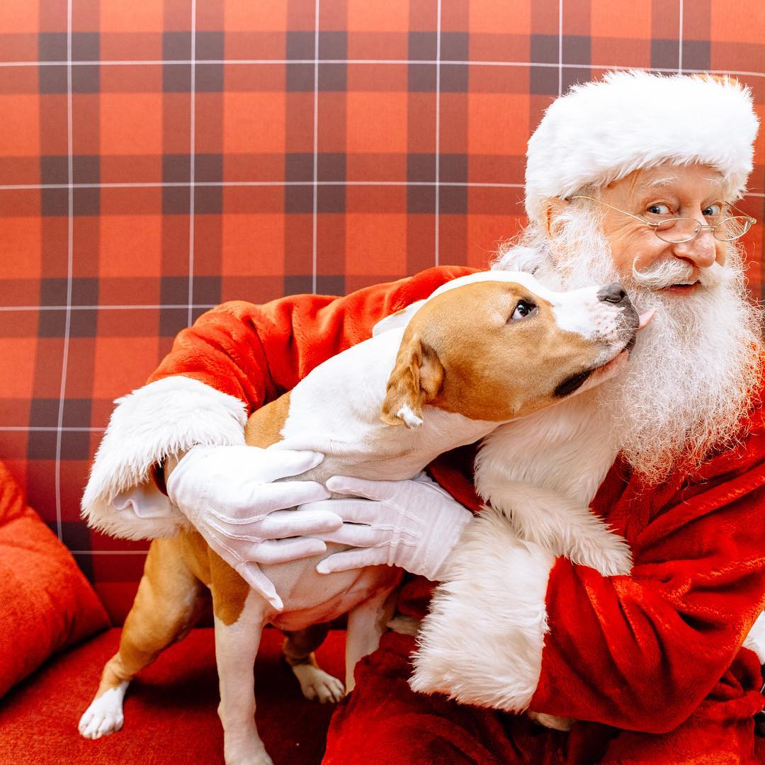 7 places in and around Victoria to get your photos taken with Santa