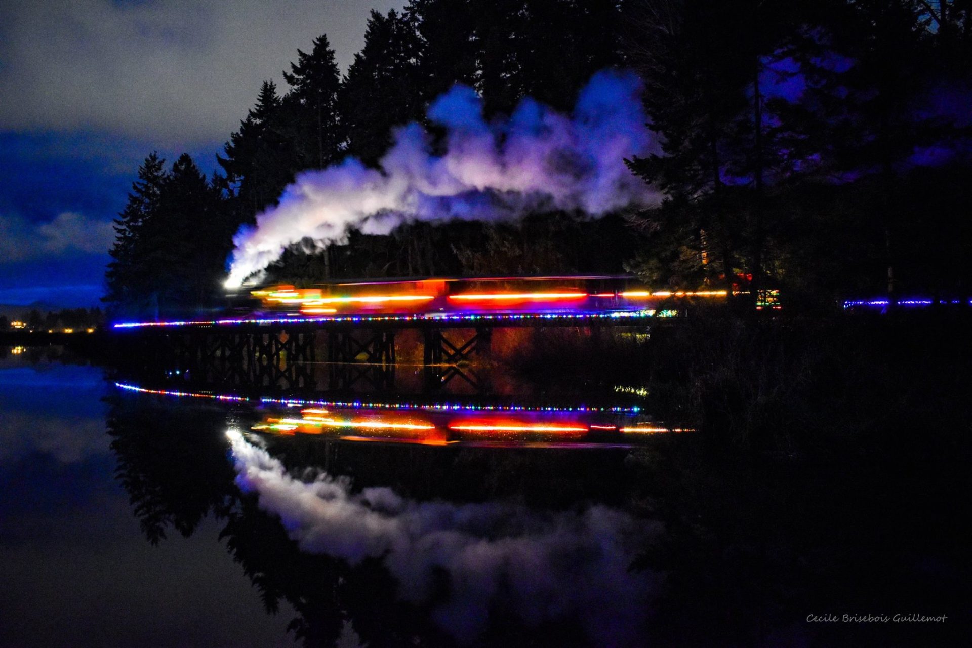 100 acres of twinkling lights: The Christmas Express is returning to ...