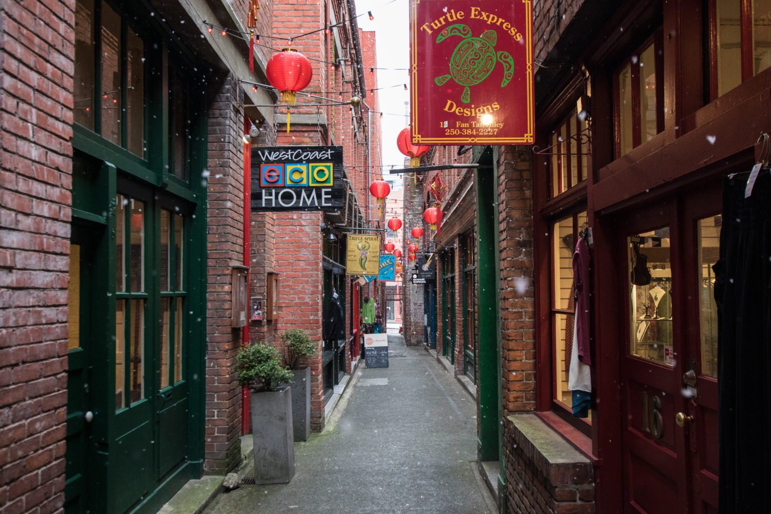 5 things to do in and around Victoria today, Wednesday February 6