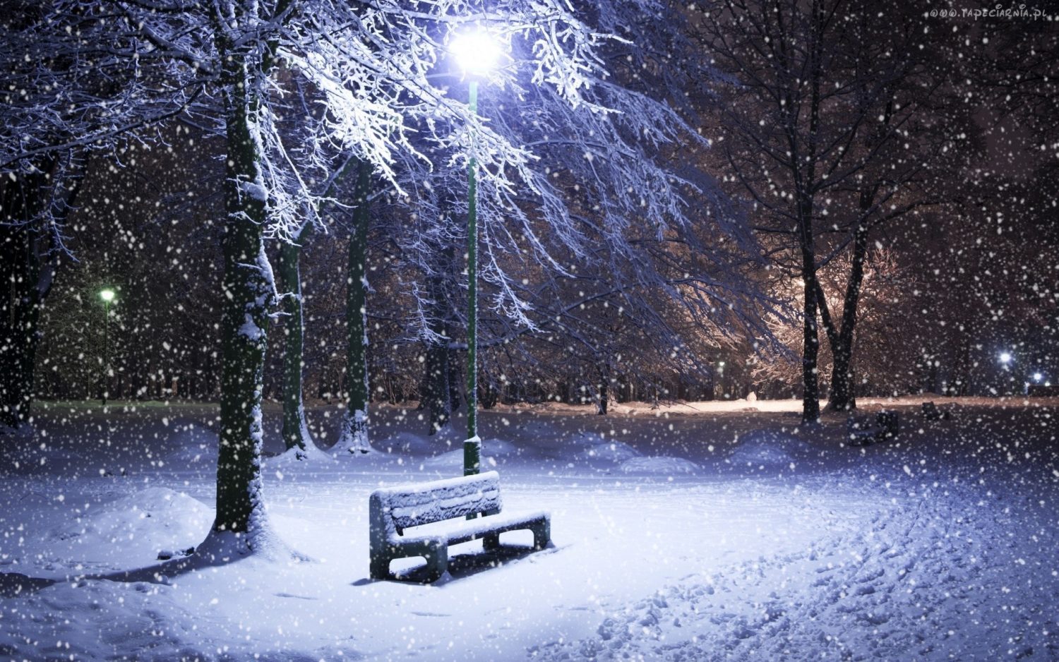 Here's a list of indoor shelters open during the cold snap in Victoria