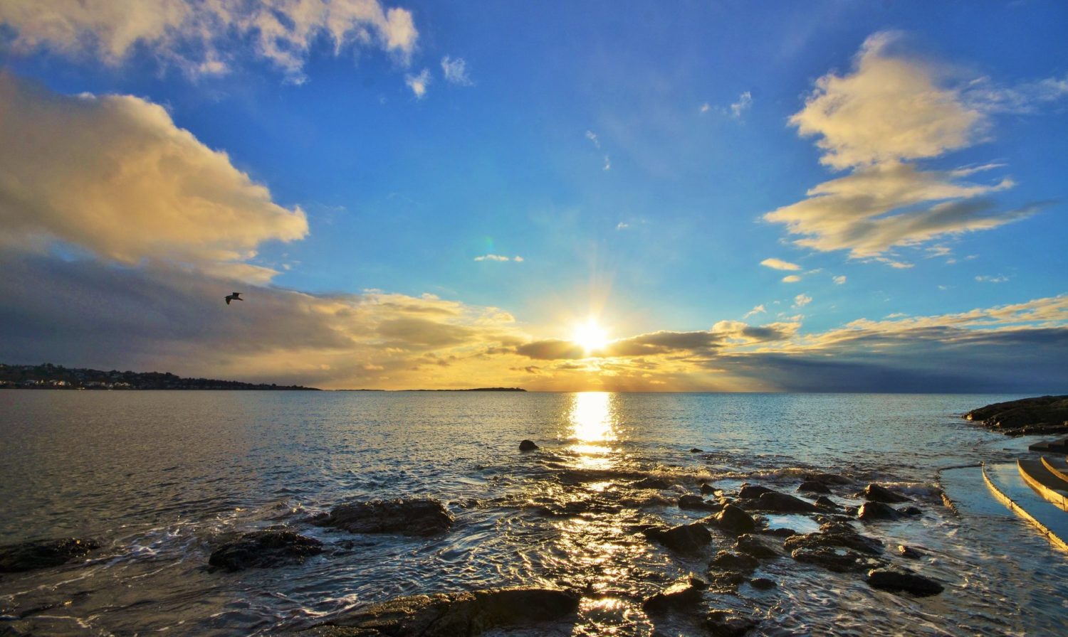 clover point alice dean