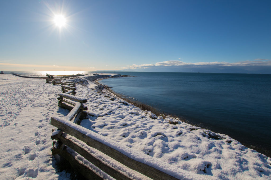 13 serene scenes from Victoria's first snowfall of the season (PHOTOS ...