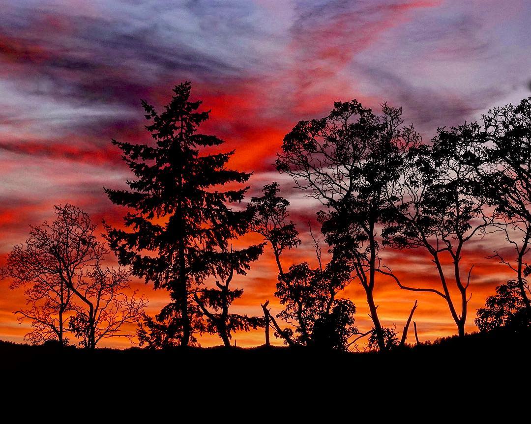 14 photos of last night's spectacular sunset in Victoria (PHOTOS)