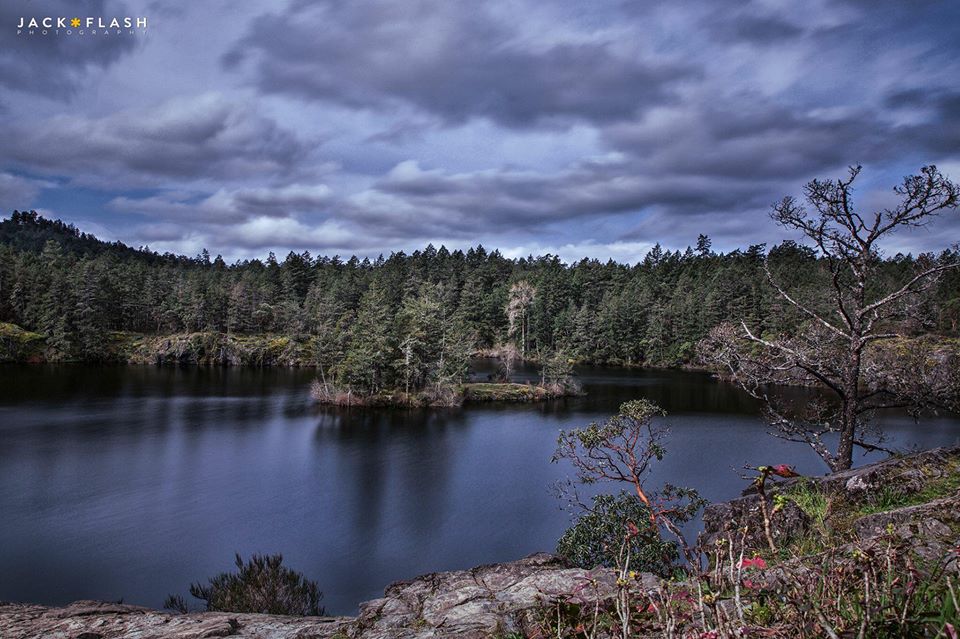 CRD warns visitors of toxic algae bloom at Thetis Lake Regional Park