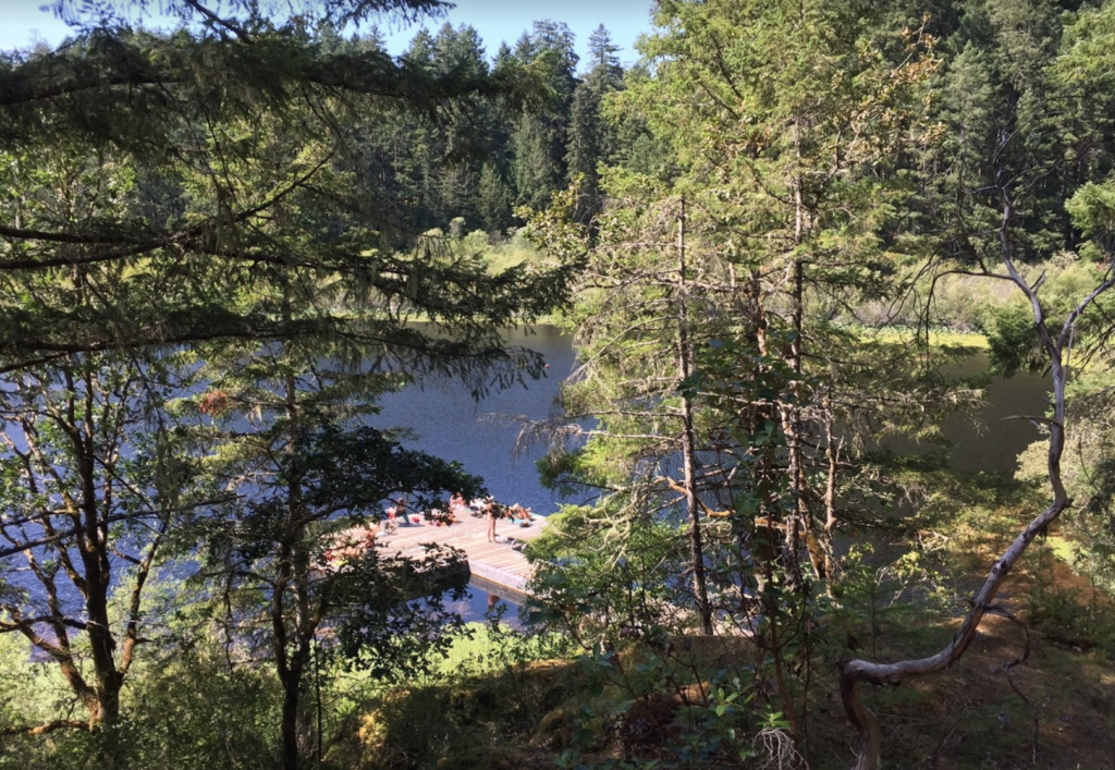 CRD warns visitors of blue-green algae blooms at Thetis Lake Regional Park