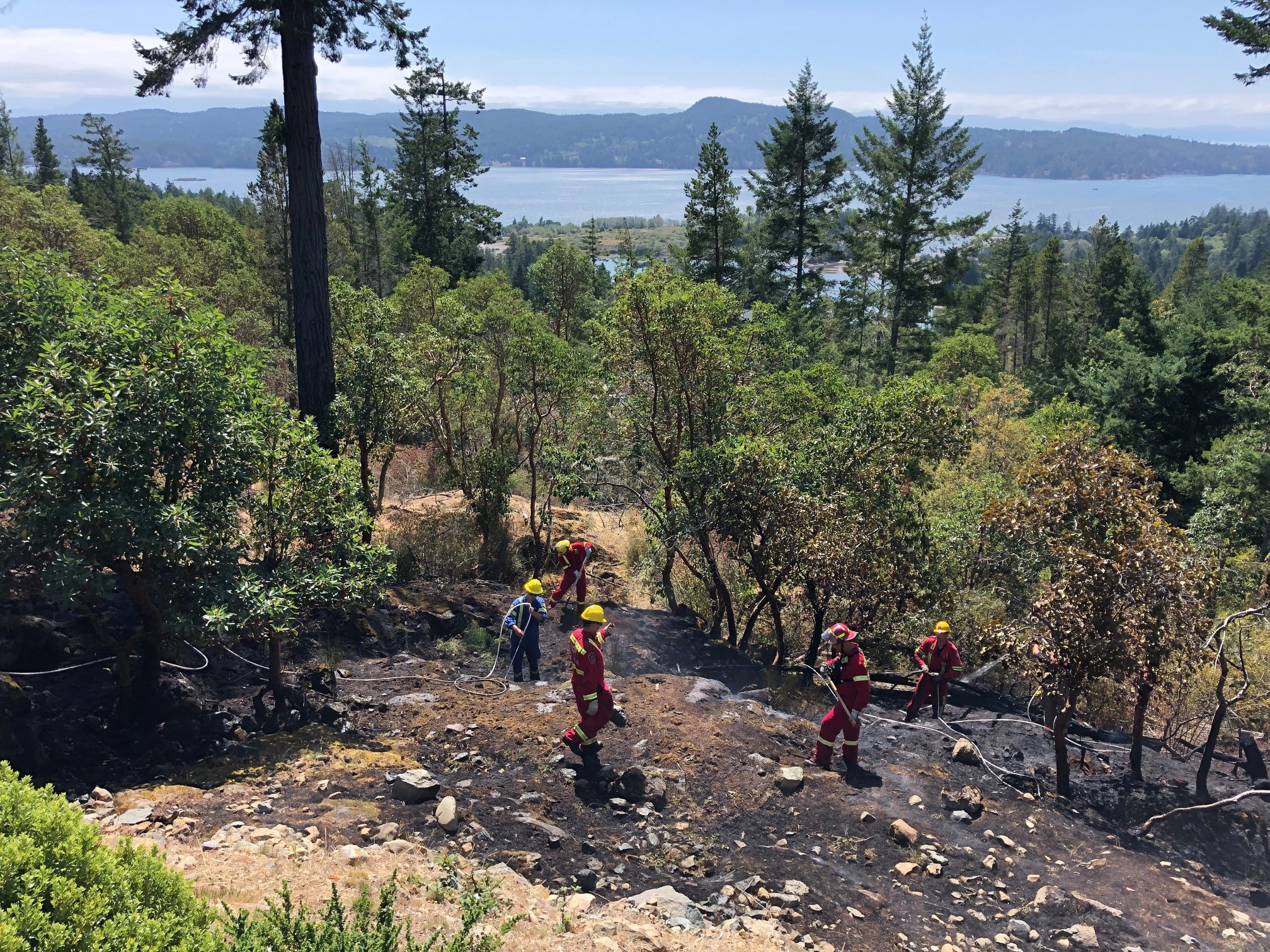 Firefighters extinguish brush fire in Sooke near Basinview Heights