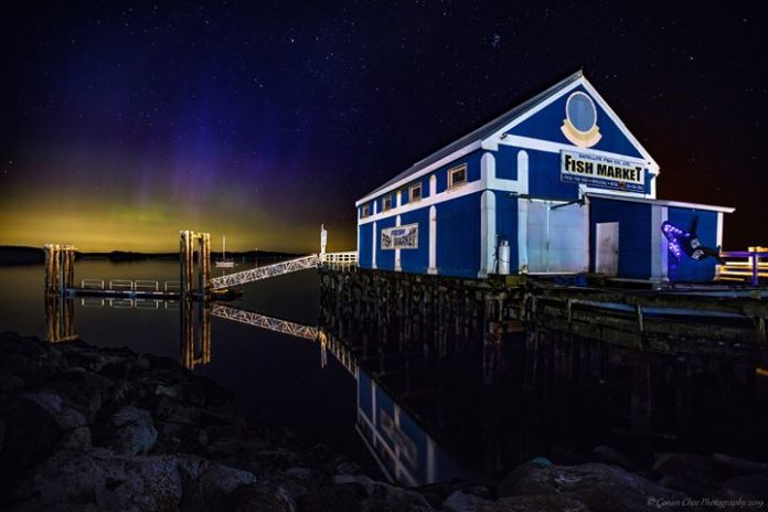 Rare northern lights expected over Vancouver Island Tuesday night