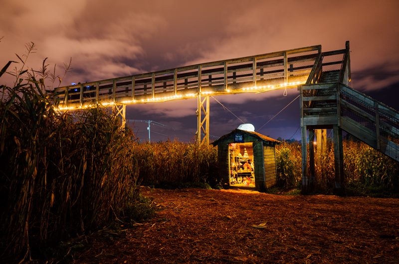 13-year-old boys under investigation for sexual harassment in Saanich ...