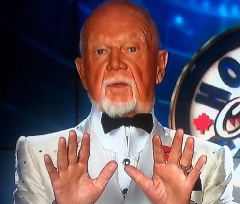 Don Cherry responds after being fired from Sportsnet's Hockey Night in ...