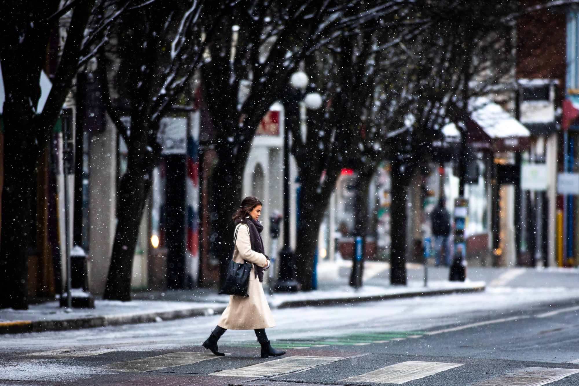 21 images of Victoria's first snowfall in 2020 (PHOTOS/VIDEOS)