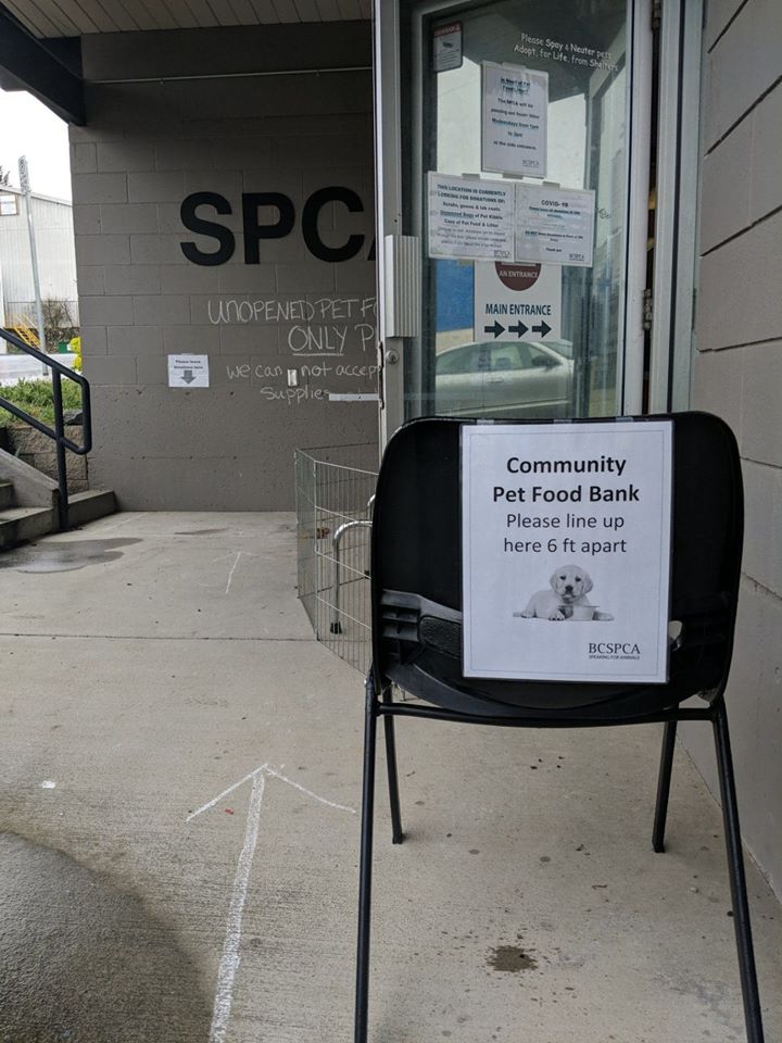 Victoria SPCA offers free pet food for families struggling amid pandemic