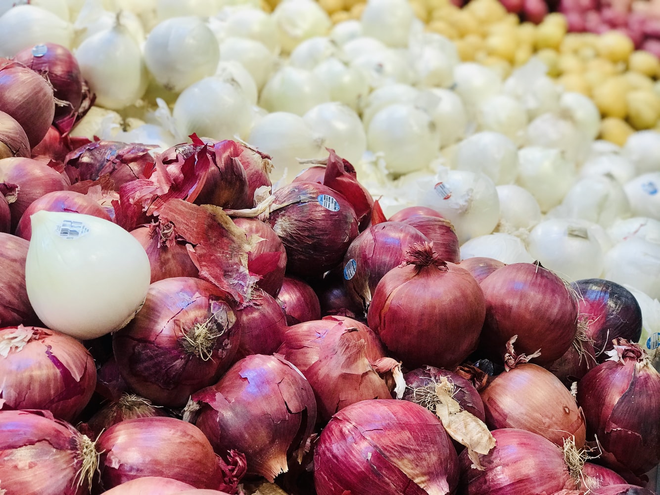 Red, yellow, white onions recalled across Canada due to possible ...