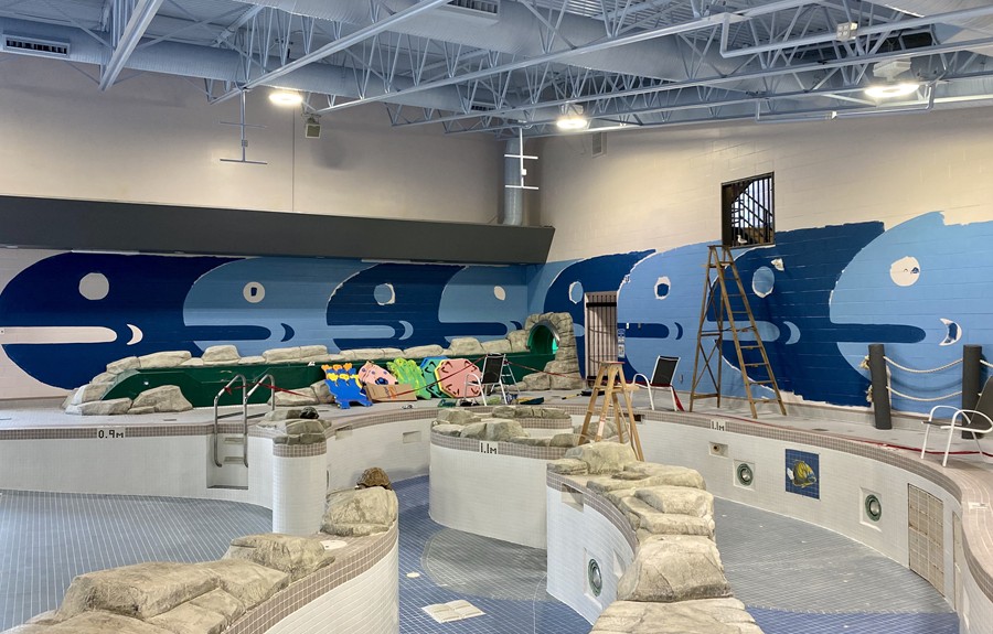 Coast Salish artist commissioned for new artwork at Nanaimo pool