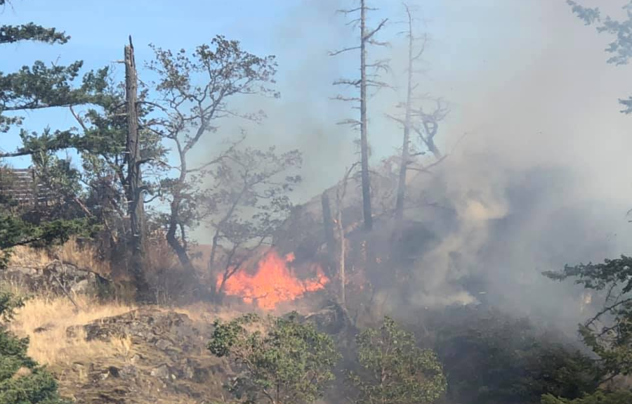 Fire crews from four municipalities battle significant blaze near ...