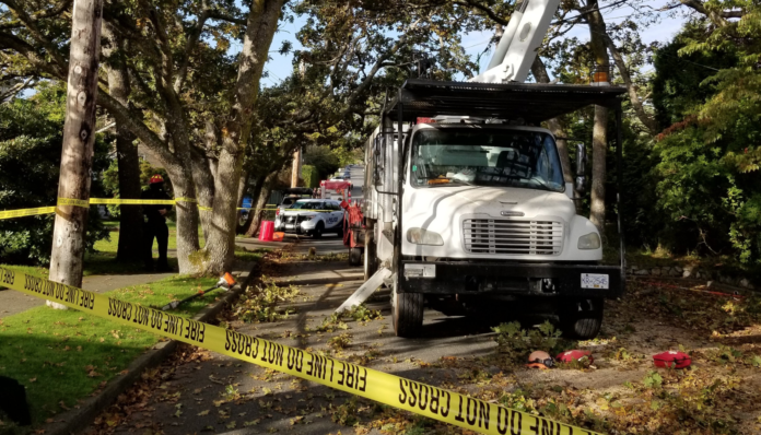 Oak Bay roads closed after sudden death of young tree cutter