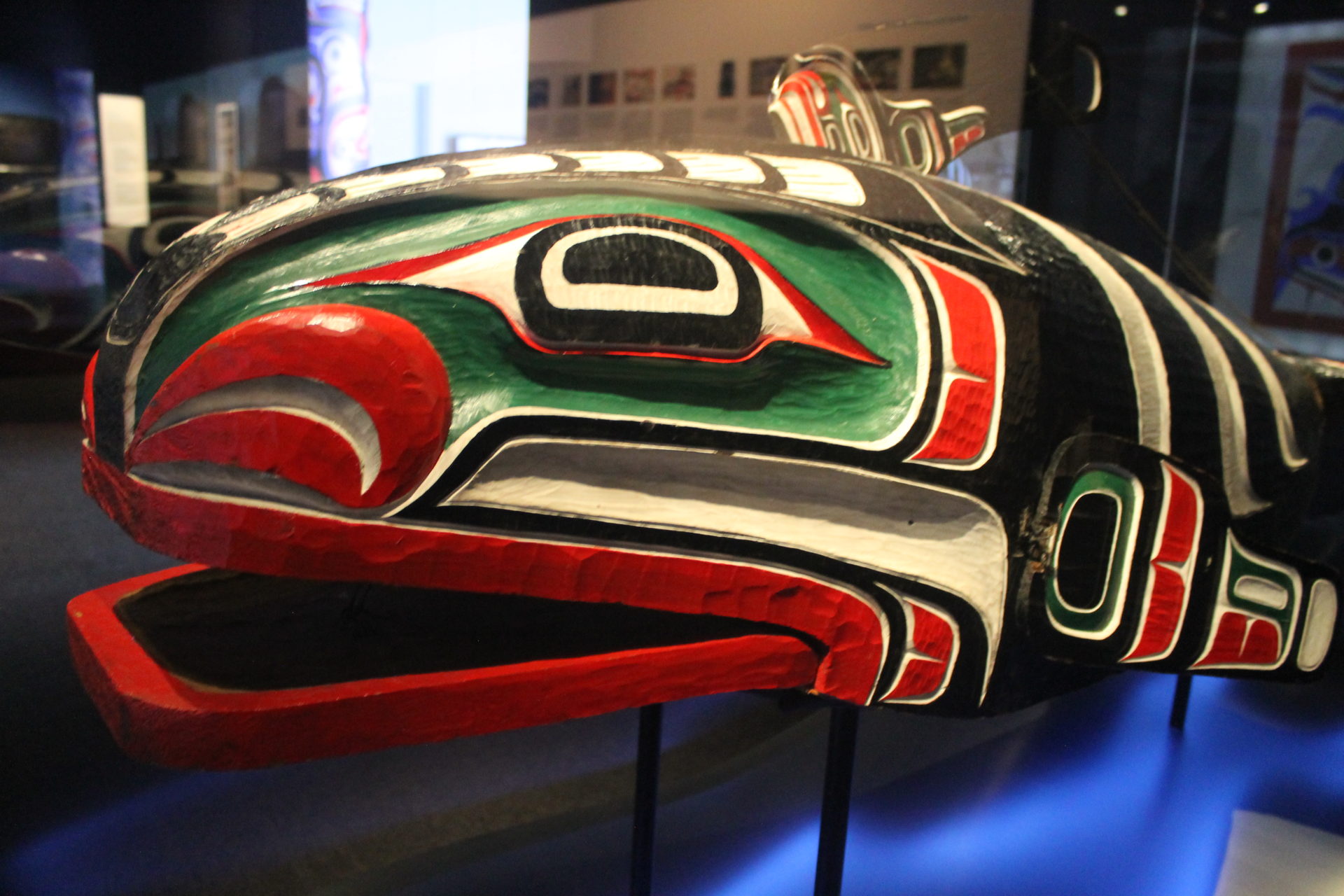 A whale of a tale: Orcas exhibition at Royal BC Museum opens to public