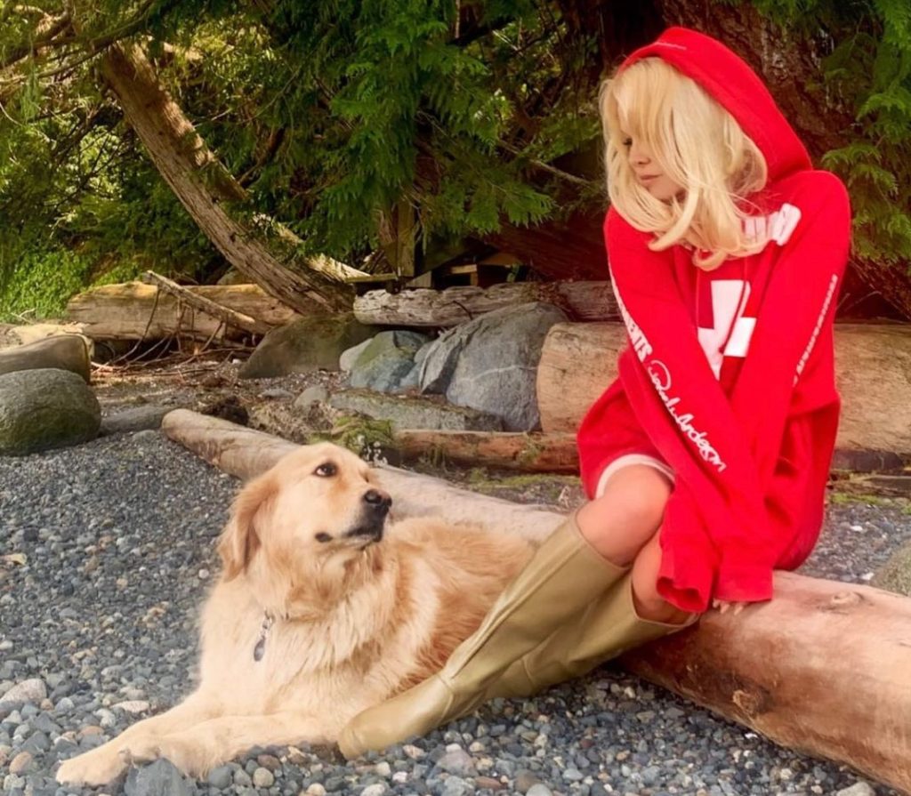 Pamela Anderson returns to Vancouver Island hometown for new HGTV ...