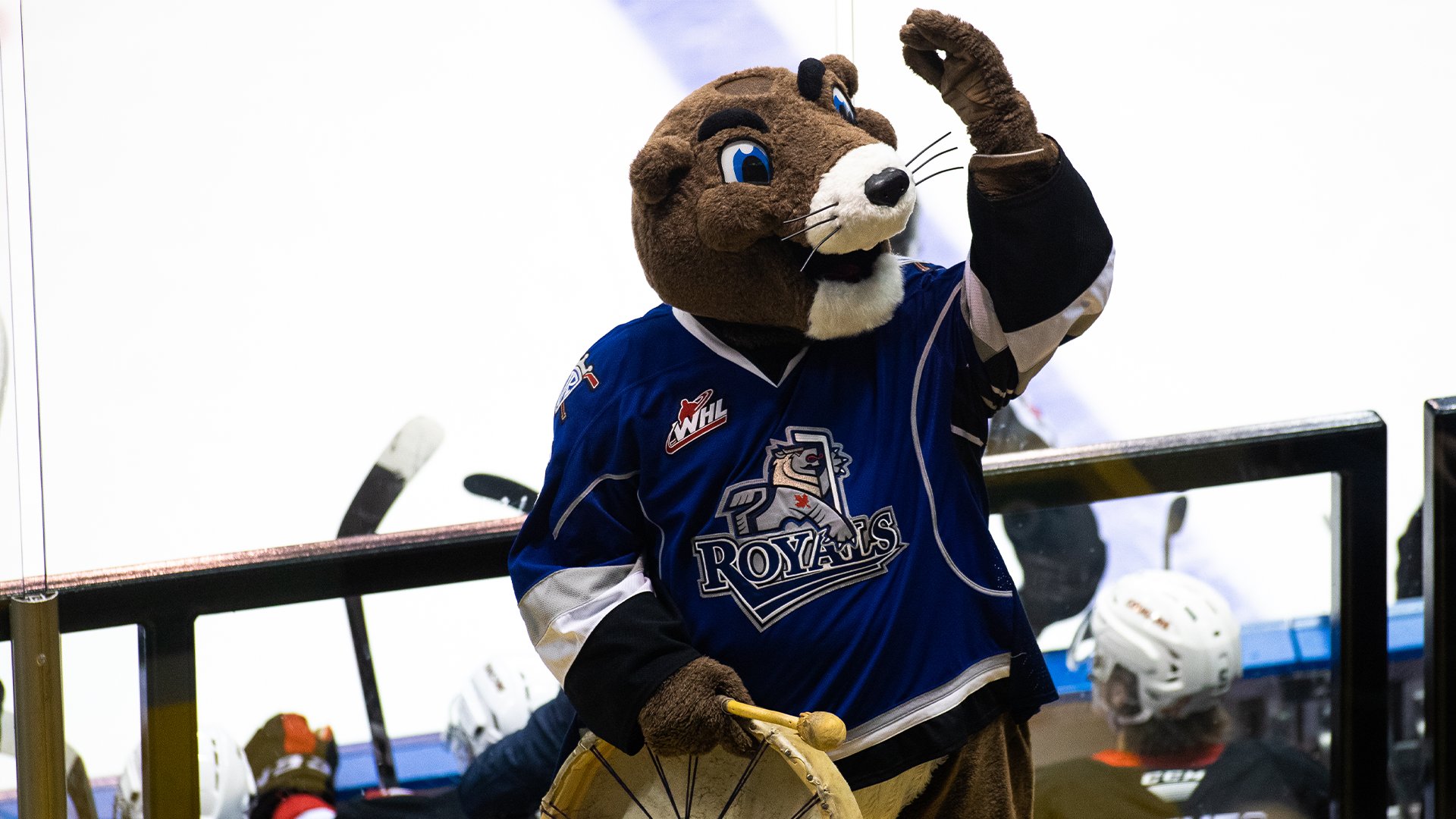 Three upcoming Victoria Royals games you won't want to miss this November