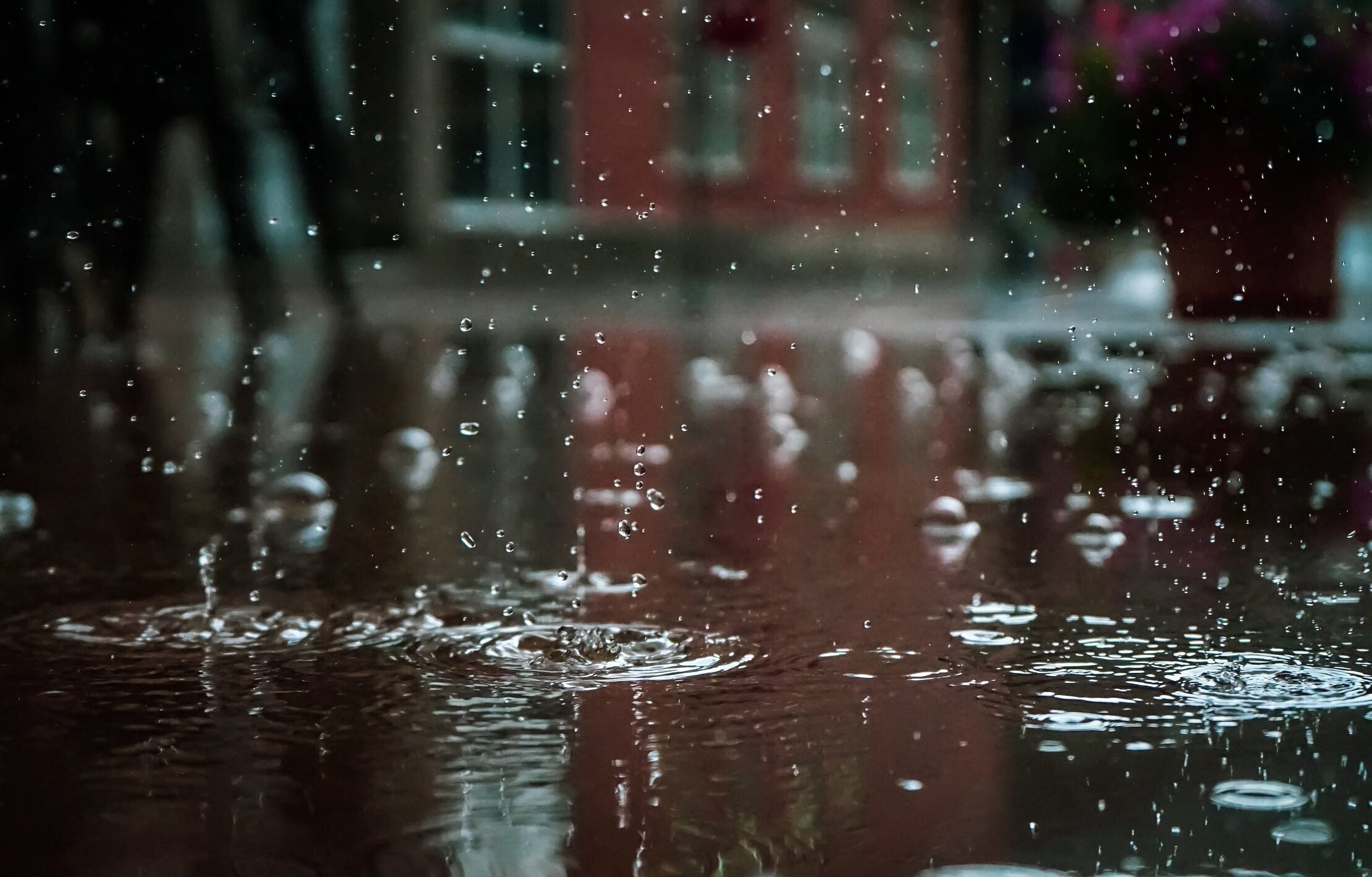 Greater Victoria can expect a wet weekend as rain returns to region