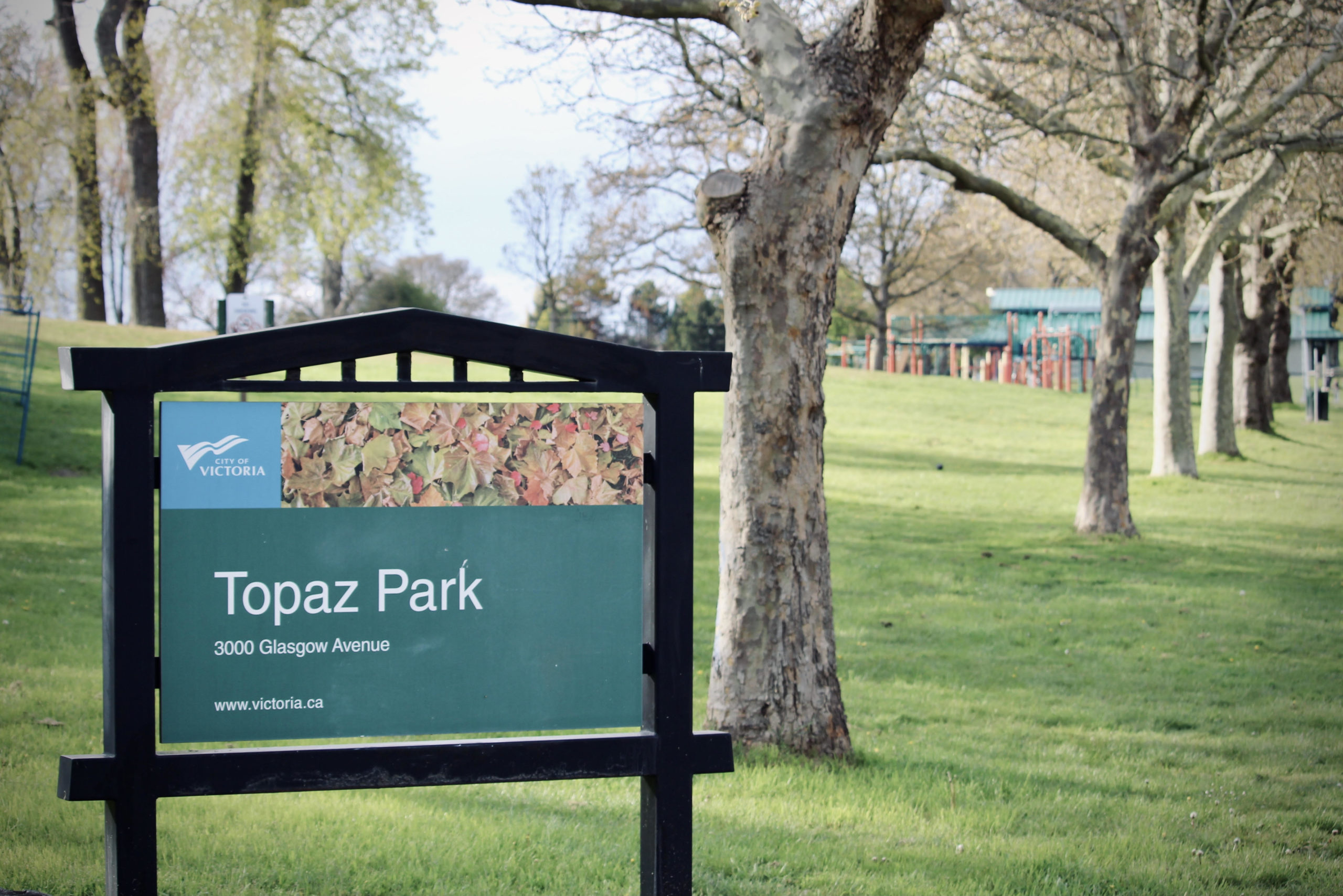Topaz Park will get a new turf field after receiving large funding boost