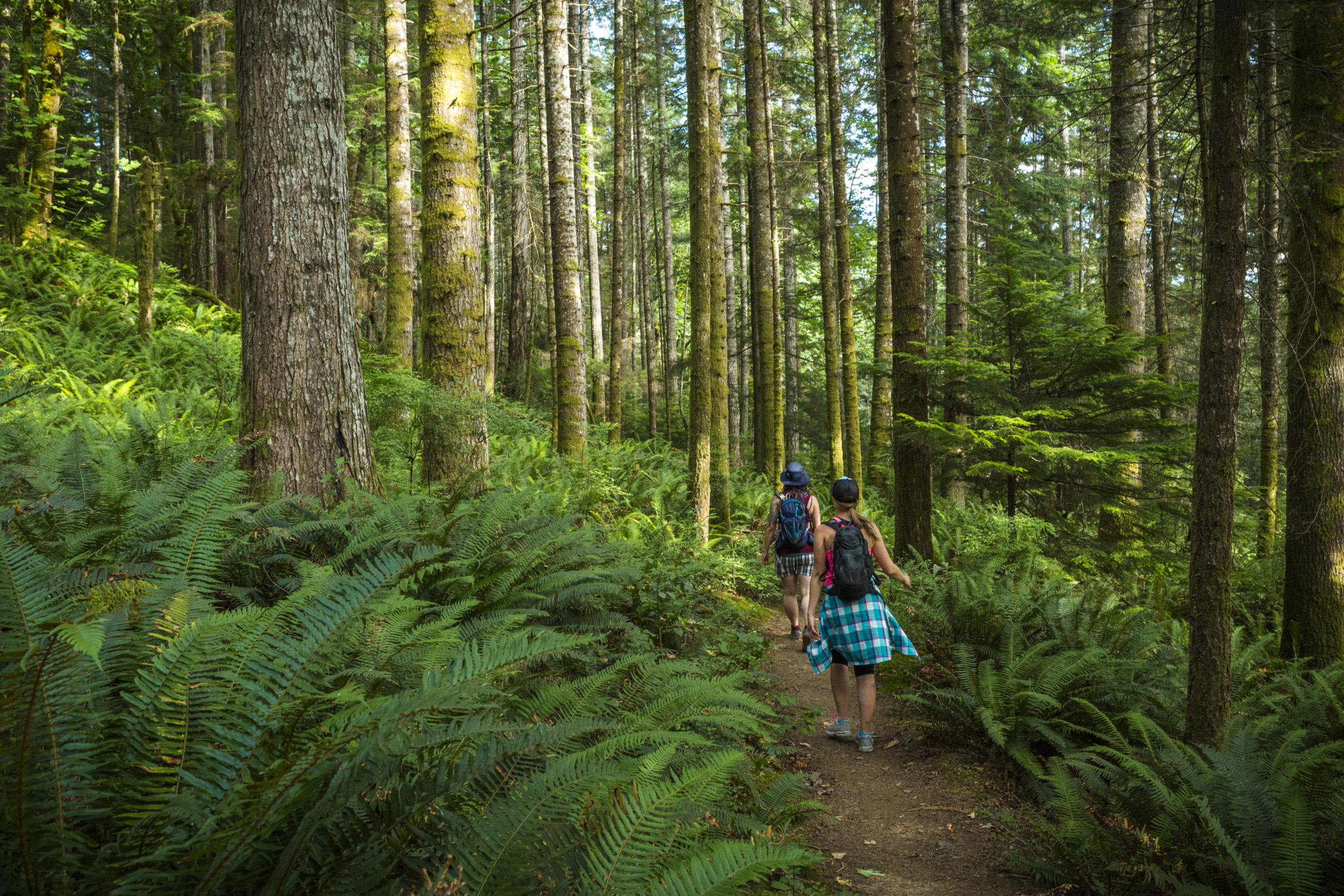 These Vancouver Island trails receive some of the most search and ...
