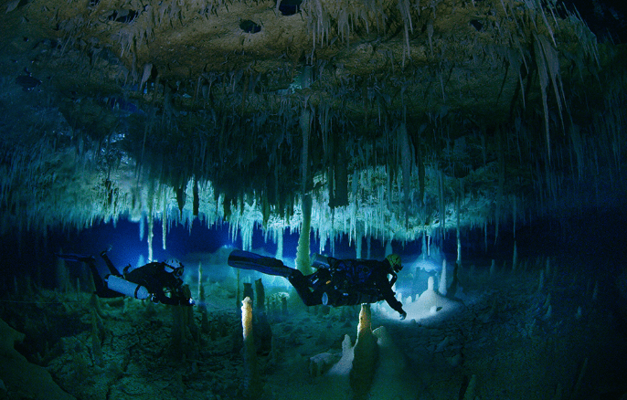 ‘Ancient Caves’ is the latest must-see feature film at the Royal BC ...