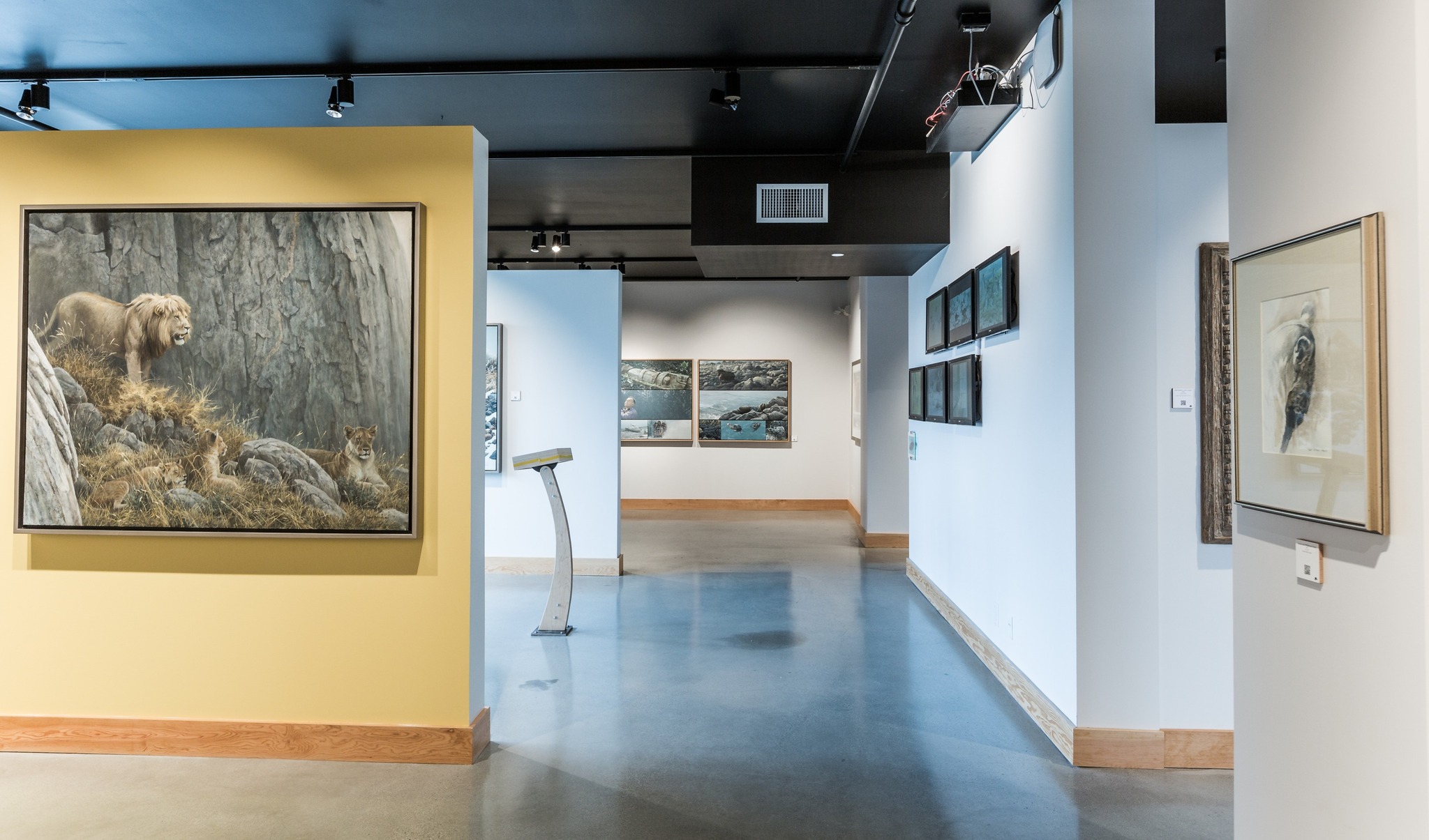 5 things to do in and around Victoria this Tuesday, January 31st