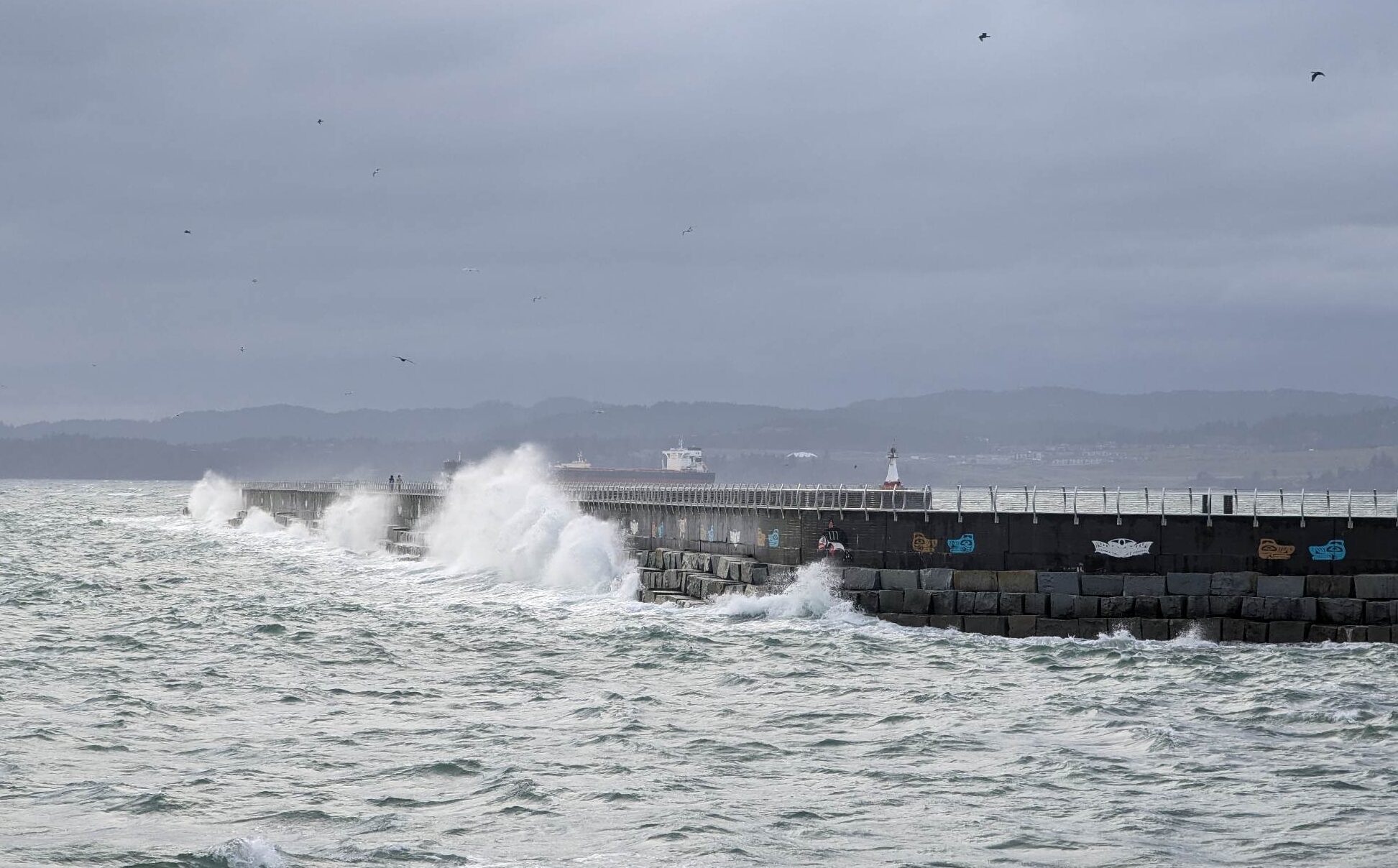 Greater Victoria could see wind gusts reach nearly 100 km/h tonight