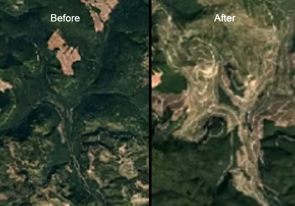 Timelapse shows significant deforestation on Vancouver Island over 39 ...
