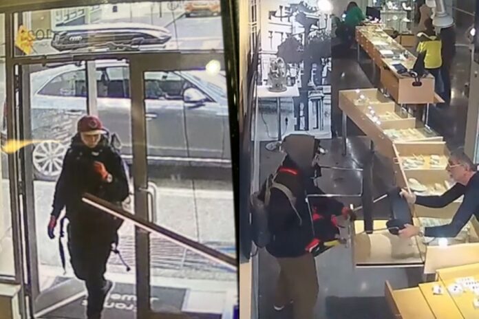 Jewelry thief wanted by VicPD for ‘smash-and-grab’ caught on tape (VIDEO)