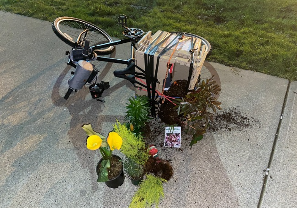 Plant thief steals their last succulent as West Shore RCMP make arrest