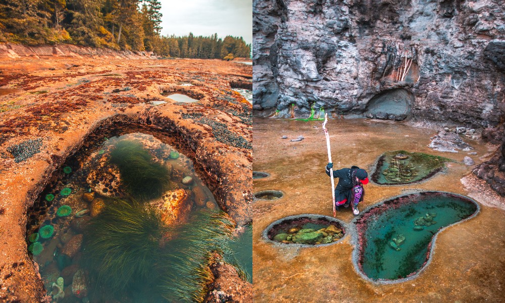 There will be an extremely low tide at Port Renfrew's Botanical Beach ...