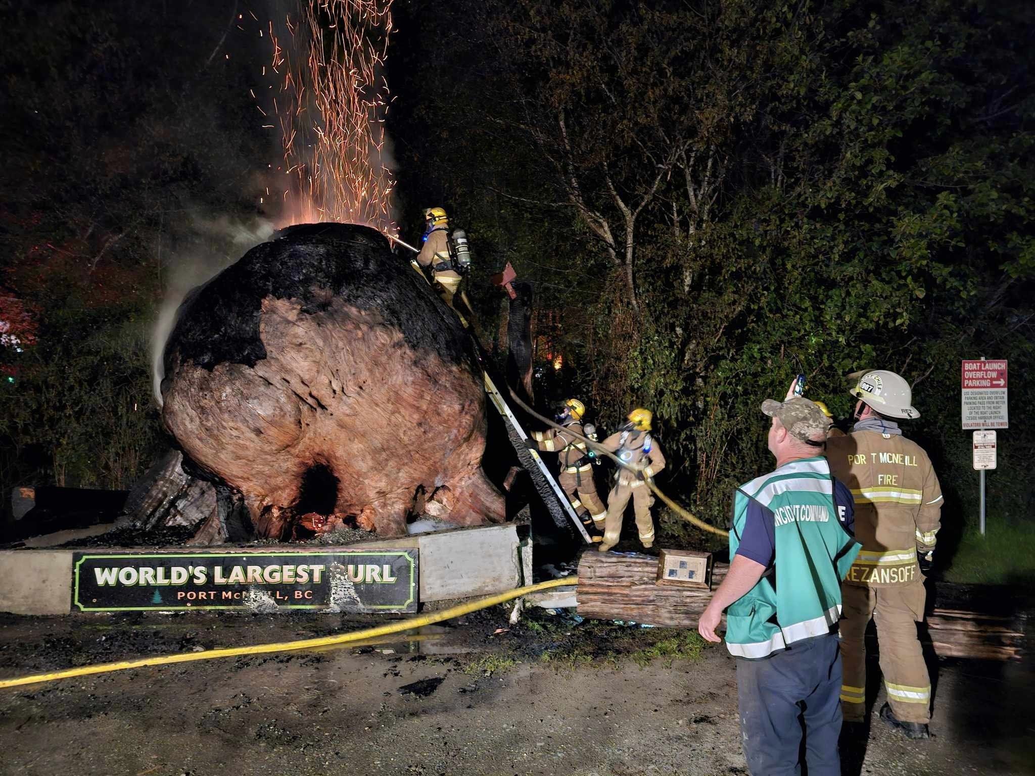 Townsfolk outraged after world’s largest burl destroyed by fire in Port ...