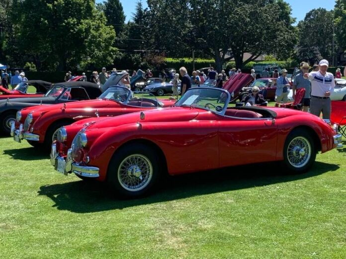 6 car shows happening in and around Victoria throughout this summer