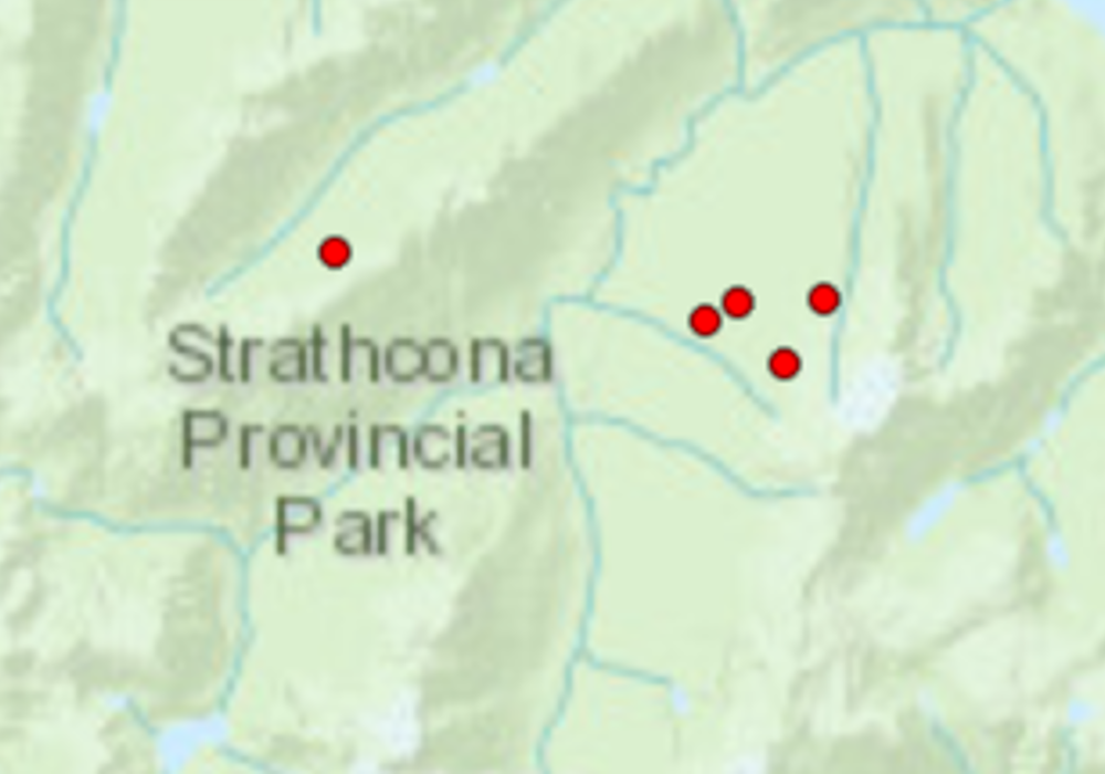 Five ‘out of control’ wildfires discovered close together in Strathcona ...