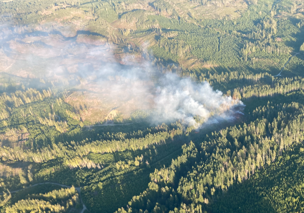 Five ‘out of control’ wildfires discovered close together in Strathcona ...