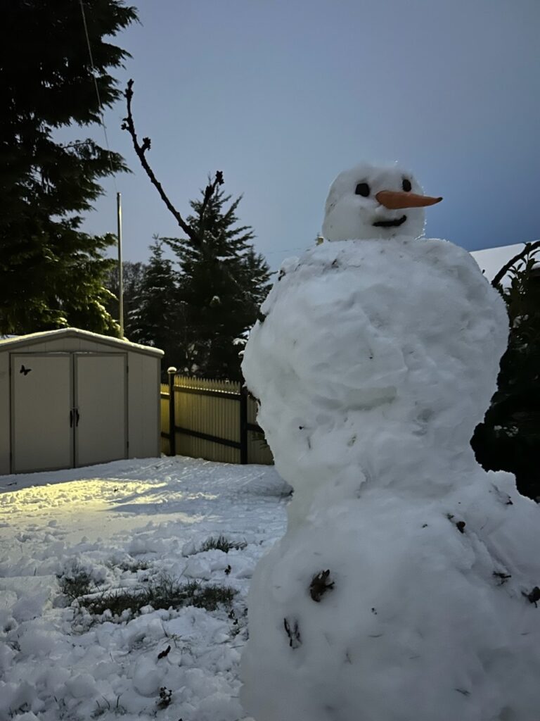 19 captures of snowmen chillin' in and around Victoria (PHOTOS)